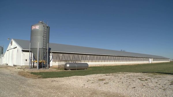 OUR CHICKEN FARMS - Brazil Frozen Food Brands